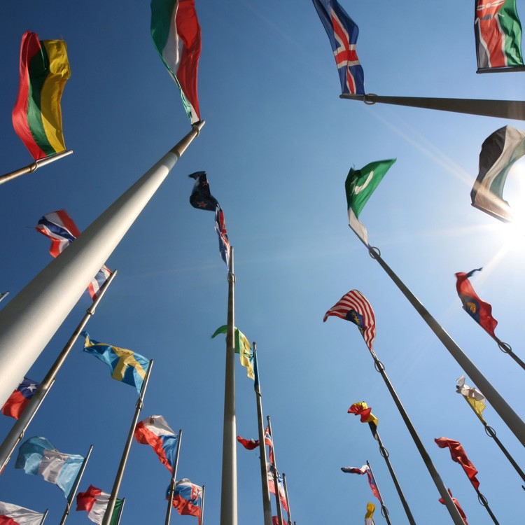 Canada Customs Brokerage | C.H. Robinson